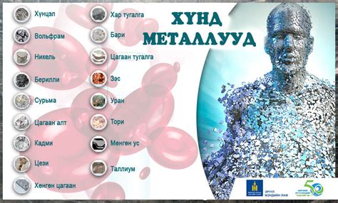 Хүнд металлын хордлогод хэн өртөх эрсдэлтэй вэ