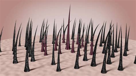 Shampoo Or Serum Nourish Hair Follicles Hair Care Concept Stock