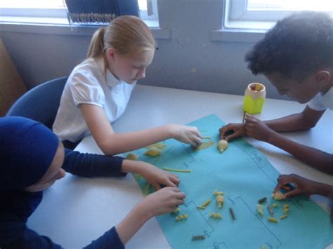 Year 6 Classification Keys St Clements C Of E Academy