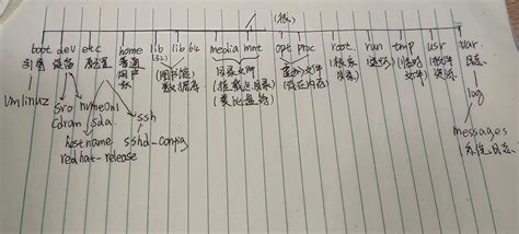 linux文件类型和根目录结构 查询根目录后怎么知道是什么文件类型 csdn博客