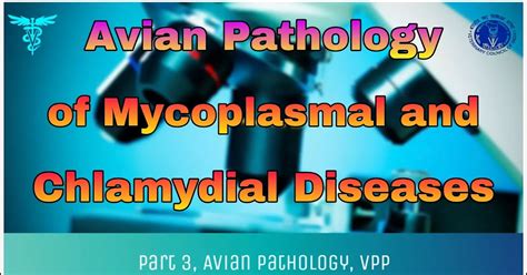 Avian Pathology Of Mycoplasmal And Chlamydial Diseases