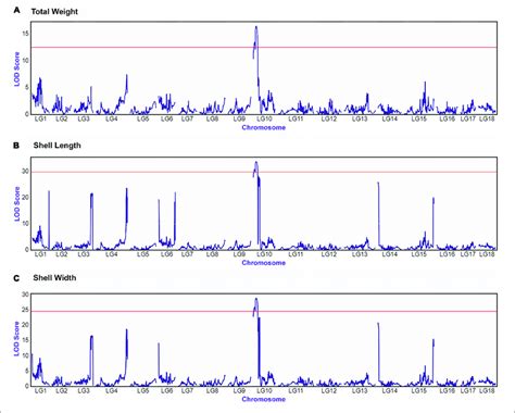 Qtl Mapping And Lod Profile Of Growth Related Traits Total Weight Download Scientific Diagram