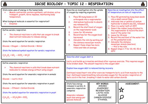 Igcse Biology Topic 12 Respiration Summary Teaching Resources