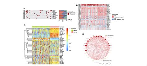 A Heatmap With Bar Plots Displayed The Mutation Rates Of Delmrgs B