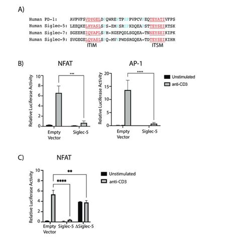 Function Of Siglec 5 In T Cells A Sequence Alignment Of The Itim And