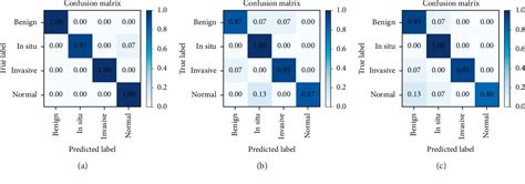 figure 1 from classification of hematoxylin and eosin stained breast