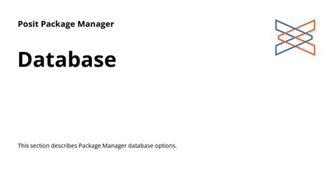 Database Posit Package Manager