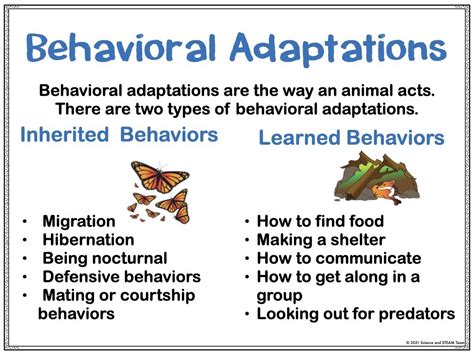 Behavioral Adaptation Examples In Nature And Humans