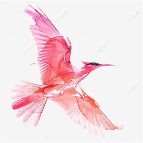 비행 중에 추상 분홍색 새 분홍색 새 날개 비행 Png 일러스트 및 이미지 에 대한 무료 다운로드 Pngtree