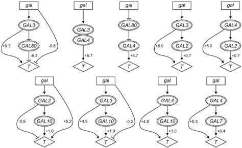 Quantitative Pathway Inference Using Expression Traits Relationships Download Scientific