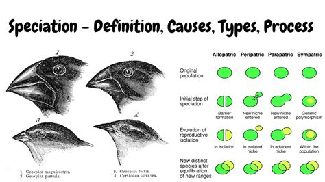 39 Facts About Sympatric Speciation