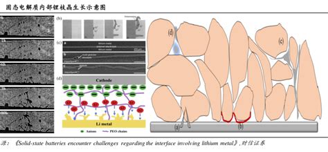固态电解质内部锂枝晶生长示意图 2024年06月 行业研究数据 小牛行研