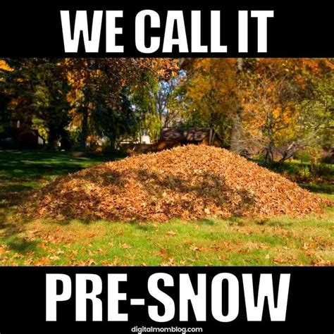 Pin By Lana Lama On My Fall Memes Memes Football Season