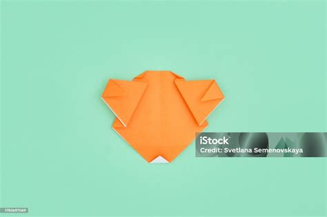 종이 접기 곰 녹색 배경에 대한 단계별 사진 지침 Diy 개념 13단계 0명에 대한 스톡 사진 및 기타 이미지 0명 Diy