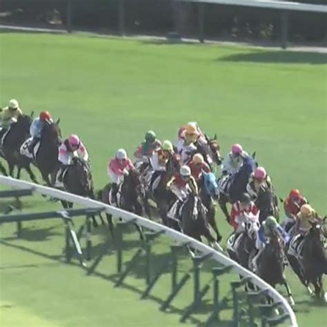 週末の回顧 競馬予想師tacyの★目指せ！馬券生活