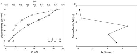 Geochemical Parameters Of The Sampled Sediments A Ph And O 2 Profiles