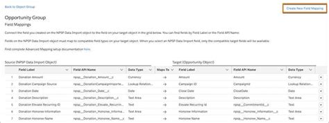 optimize salesforce data with advanced mapping