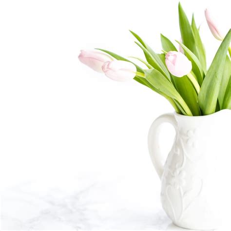 About The Virtual Pixie