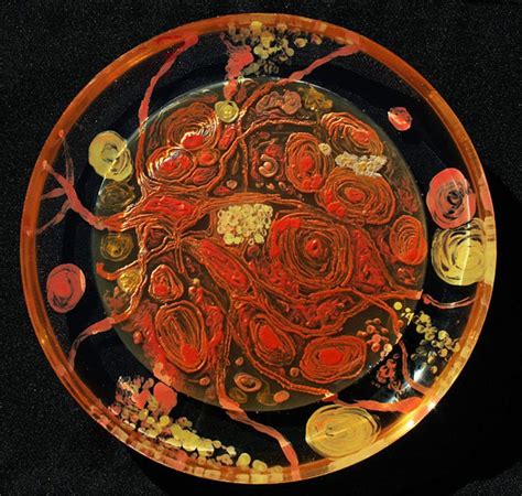 Microbiologists Recreate Starry Night And Other Art With Bacteria For