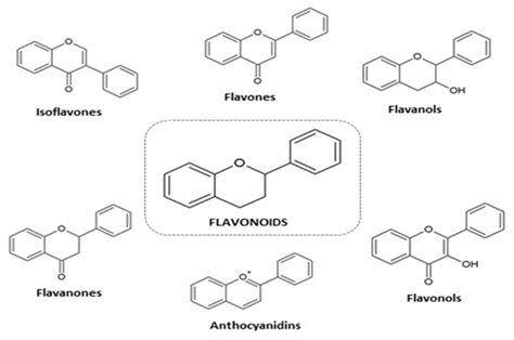 The Sexgender Effects In The Road To Tailored Botanicals