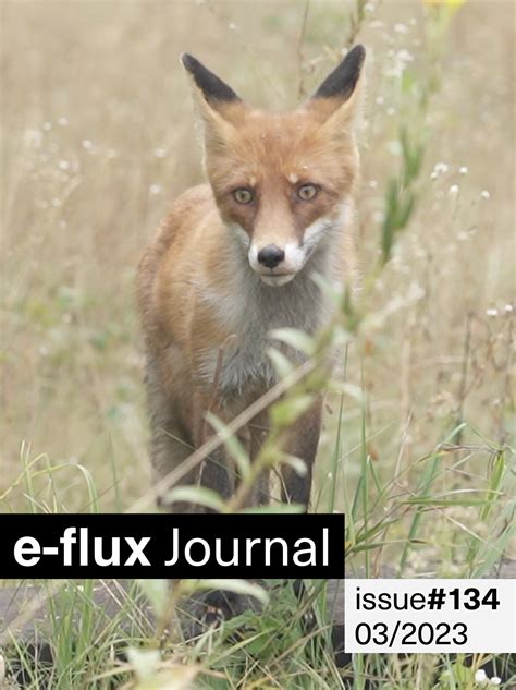 E Flux Journal Issue 134 Announcements E Flux