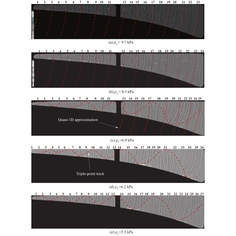 Matei Radulescu Professor Professor University Of Ottawa Ottawa