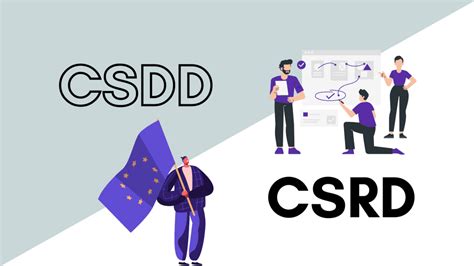 Csdd And Csrd Whats The Difference