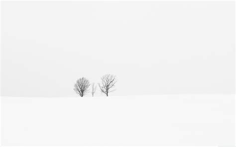 Minimalist 4k White Wallpapers Wallpaper Cave