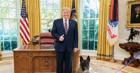 ¿un Perro Maga Para Trump