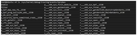 コード実行を支援する技術BPFを悪用して動作するマルウェアの仕組みを解説 トレンドマイクロ トレンドマイクロ JP