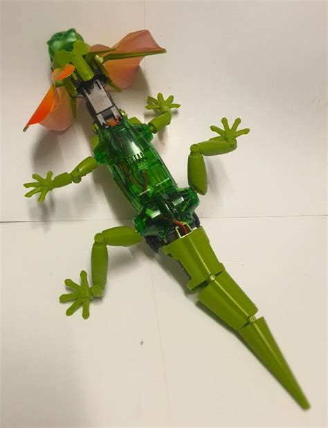 Frilled Lizard Robot Kit Hobbies And Toys Toys And Games On Carousell