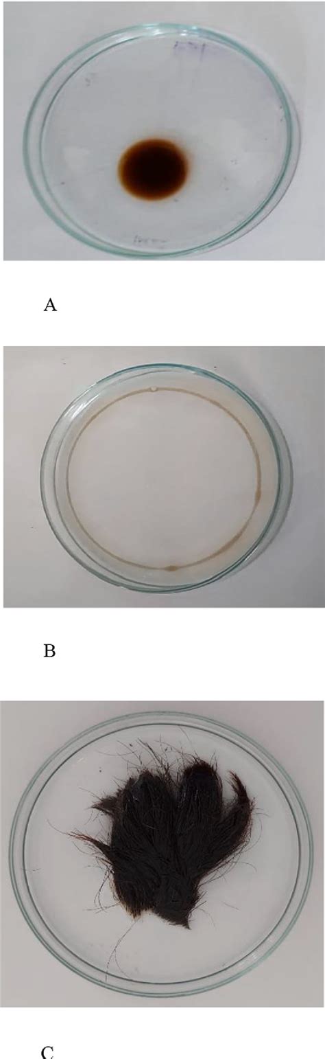 Figure 5 From Biochemical Characterization Of Immobilized Recombinant