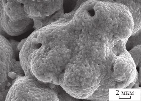 Morphology Of Nio Particles After Oxidation At The Fifth Redox Half