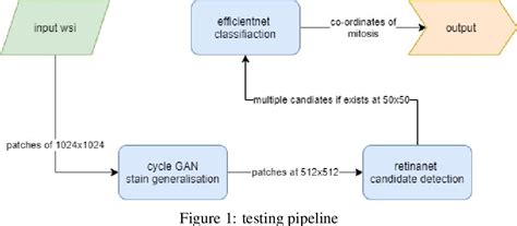 Figure 1 From Robust Multi Domain Mitosis Detection Semantic Scholar