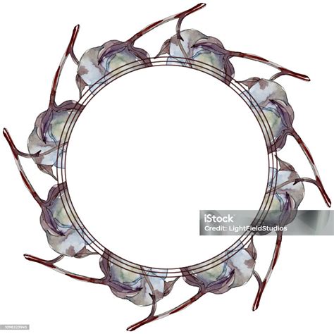 하얀 목화 꽃 식물 꽃입니다 수채화 배경 그림 설정 합니다 프레임 테두리 장식 스퀘어입니다 그리기에 대한 스톡 벡터 아트 및