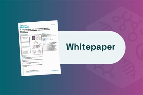 In Situ Functional Cell Phenotyping Reveals Microdomain Networks In