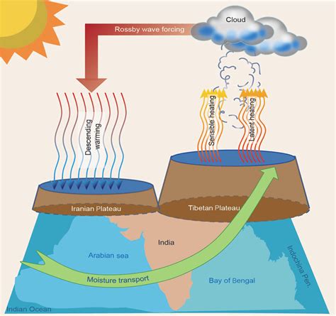 Schematic Of A Feedback Coupling System Composed Of Thermal Forcing Download Scientific Diagram