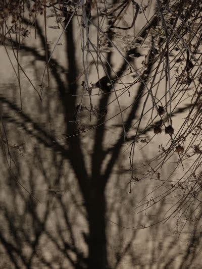 Photo David Castenson Tumbex