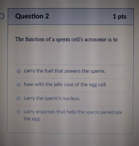 Solved D Question Pts The Brain And Spinal Cord Are Chegg Com