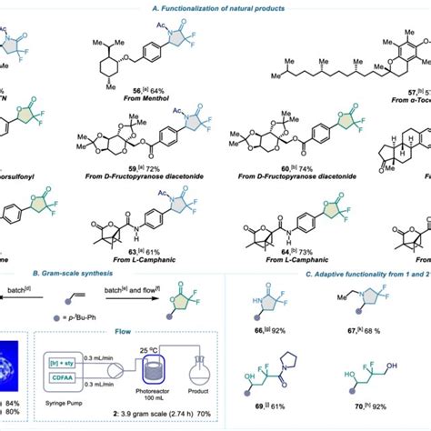 Scale Up And Synthetic Applications A Late Stage Functionalization