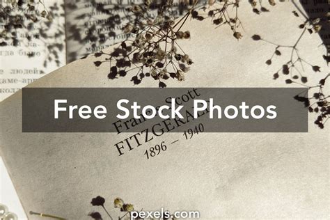 Larry Fitzgerald Photos Download The Best Free Larry Fitzgerald Stock