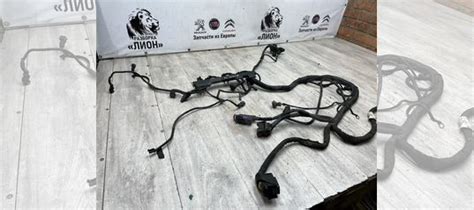 Проводка двигателя Фиат Дукато 244, Елабуга 2.3 купить в Москве | Авито