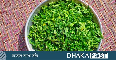 উপকারী ৩টি শাক সম্পর্কে জেনে নিন