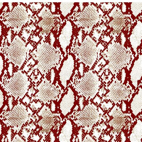 Snake Pattern And Animal Patternsnake Metering Pattern On The Ground Stock Illustration Snake Pattern And Animal Patternsnake Metering Pattern On The Ground Stock Illustration