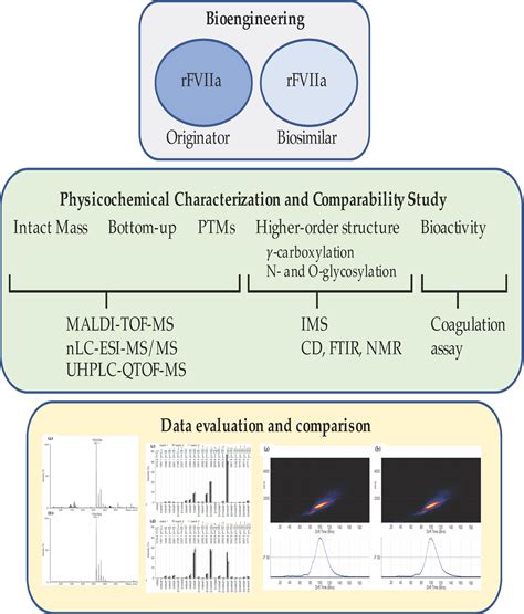 Bioengineering Free Full Text Bioengineering Of RFVIIa Biopharmaceutical And Structure