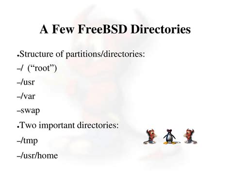 unix filesystem and hierarchy ppt download