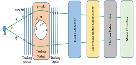 Particle Identification In Stages Download Scientific Diagram