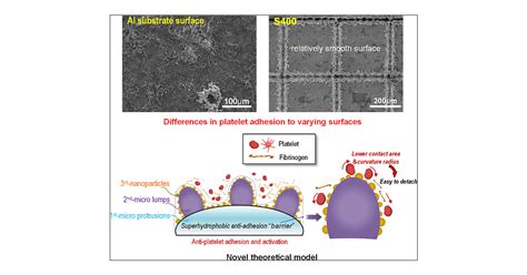 Autonomous Anticoagulation On A Biomimetic Al Based Hierarchical