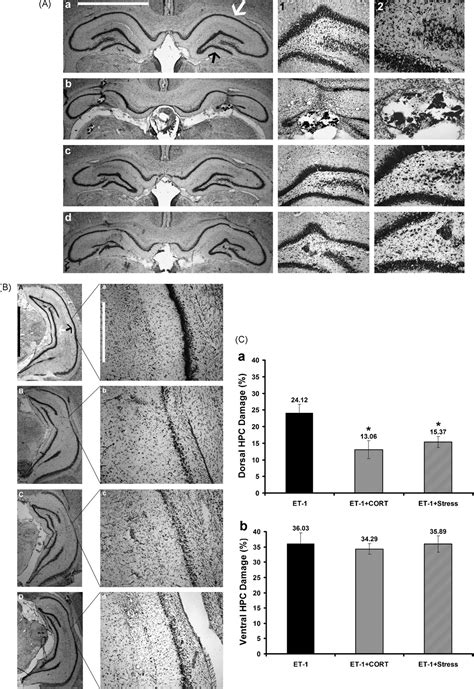 Ziggurat Algorithm Semantic Scholar