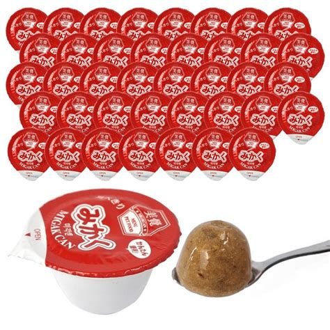 고양이 새우 간식 추천 11가지 입맛을 돋우는 간식으로 좋아요 비마이펫 라이프